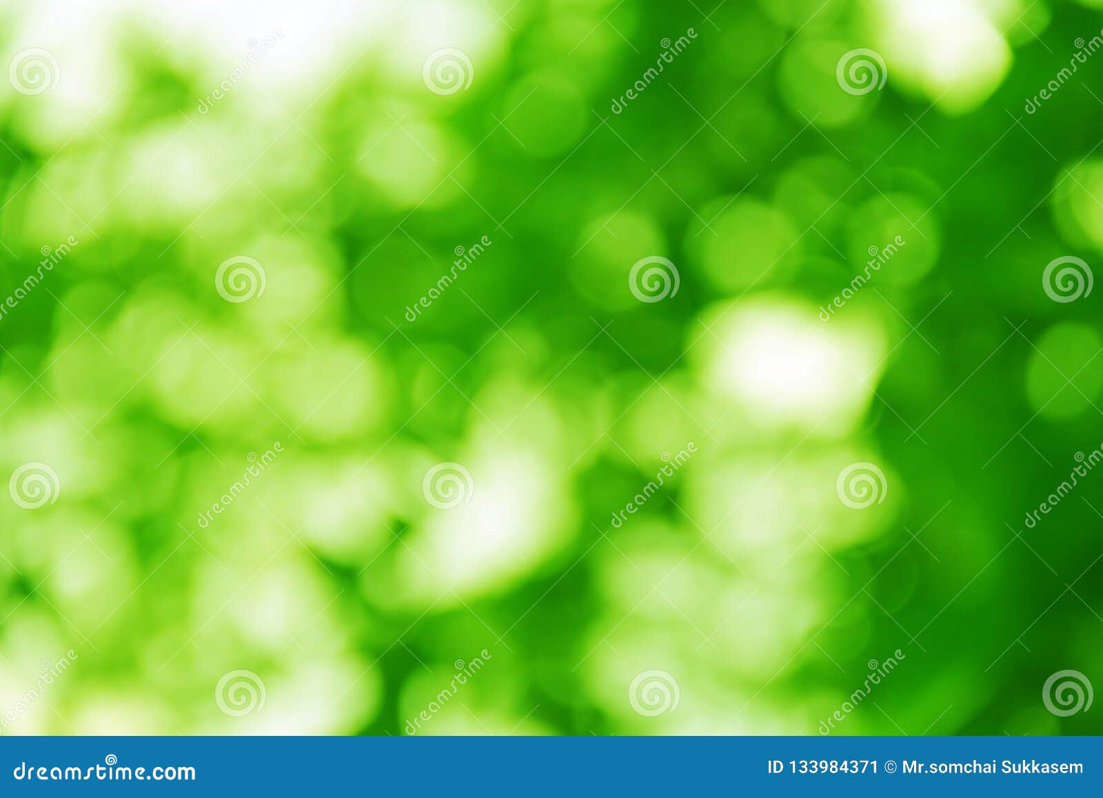 Soft Green Natural Bokeh Background Stock Image - Image of defocused ... Soft Green Natural Bokeh Background Stock Image - Image of defocused ...