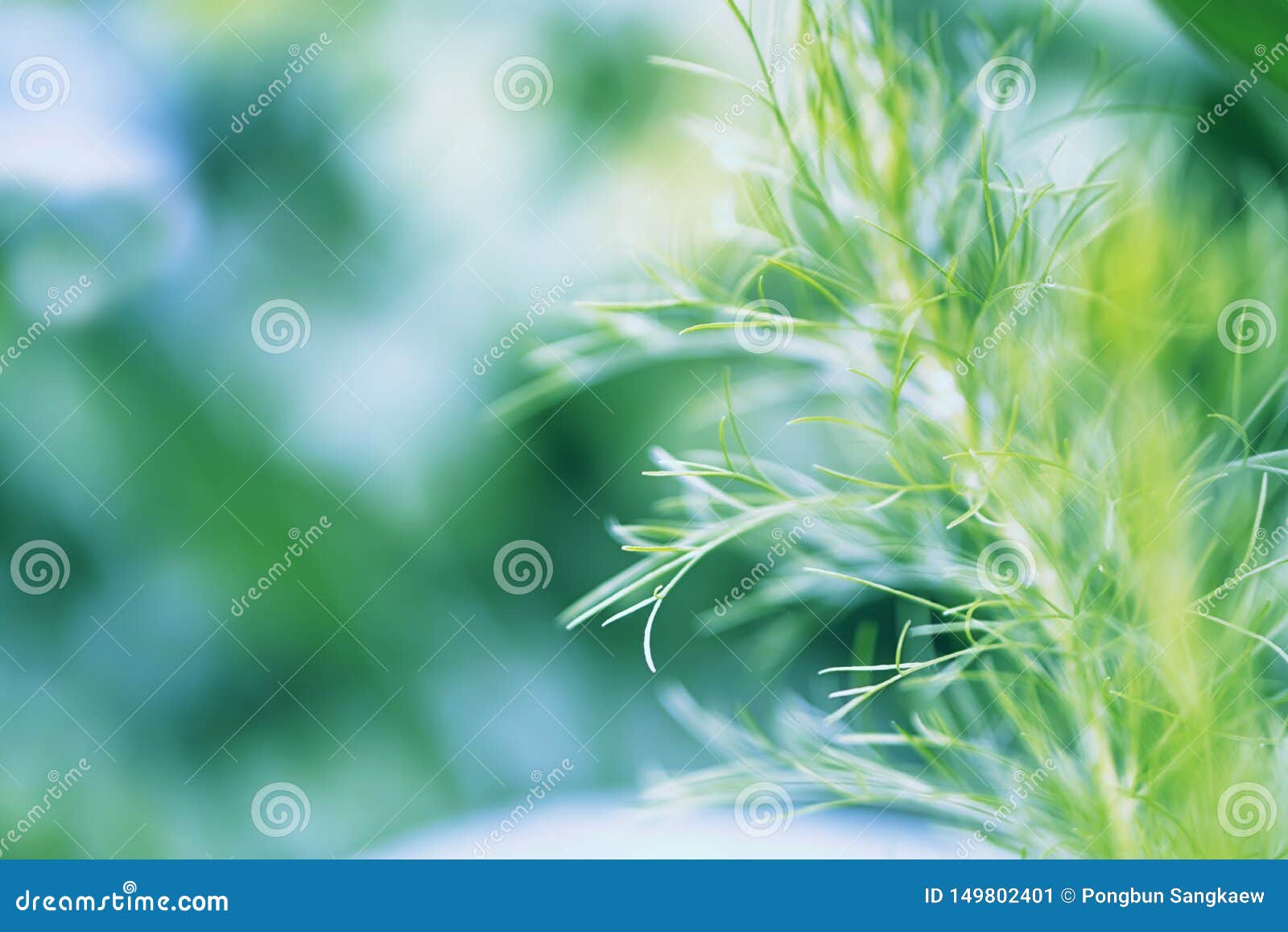 Green Leaves Texture Soft Focus Spring Nature Wallpaper Background ...