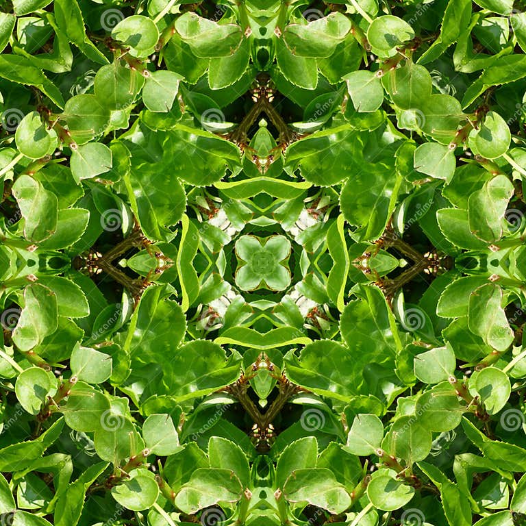 Green Leaves Tile Pattern Background 5 Stock Photo - Image of closeup ...