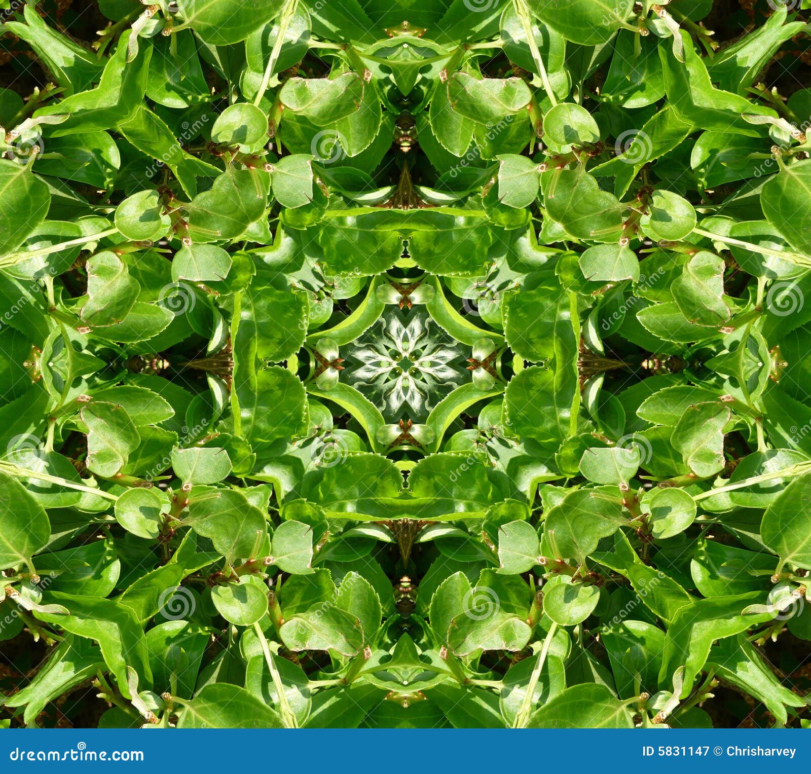Green Leaves Tile Pattern Background Stock Image - Image of organic ...