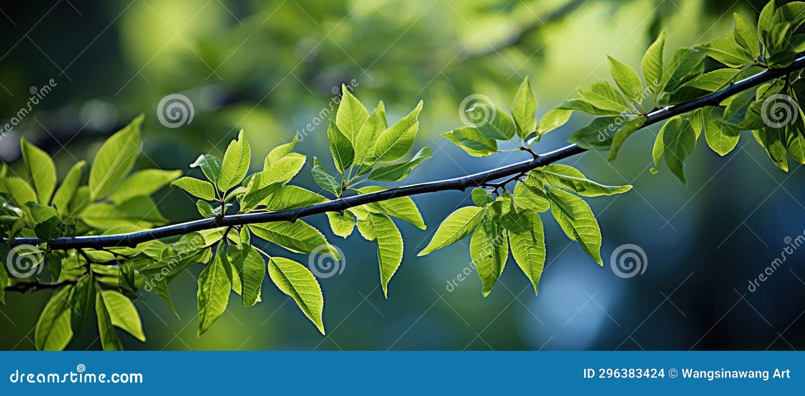 Green Leaves on a Tree Branch in Springtime. Nature Background Stock ...
