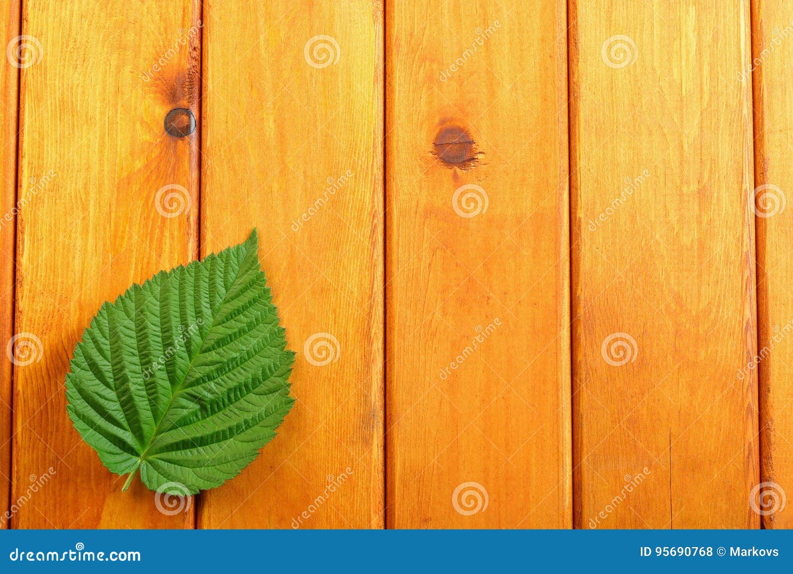 Green Leaves on Wooden Table Background. Top View Stock Photo - Image ...