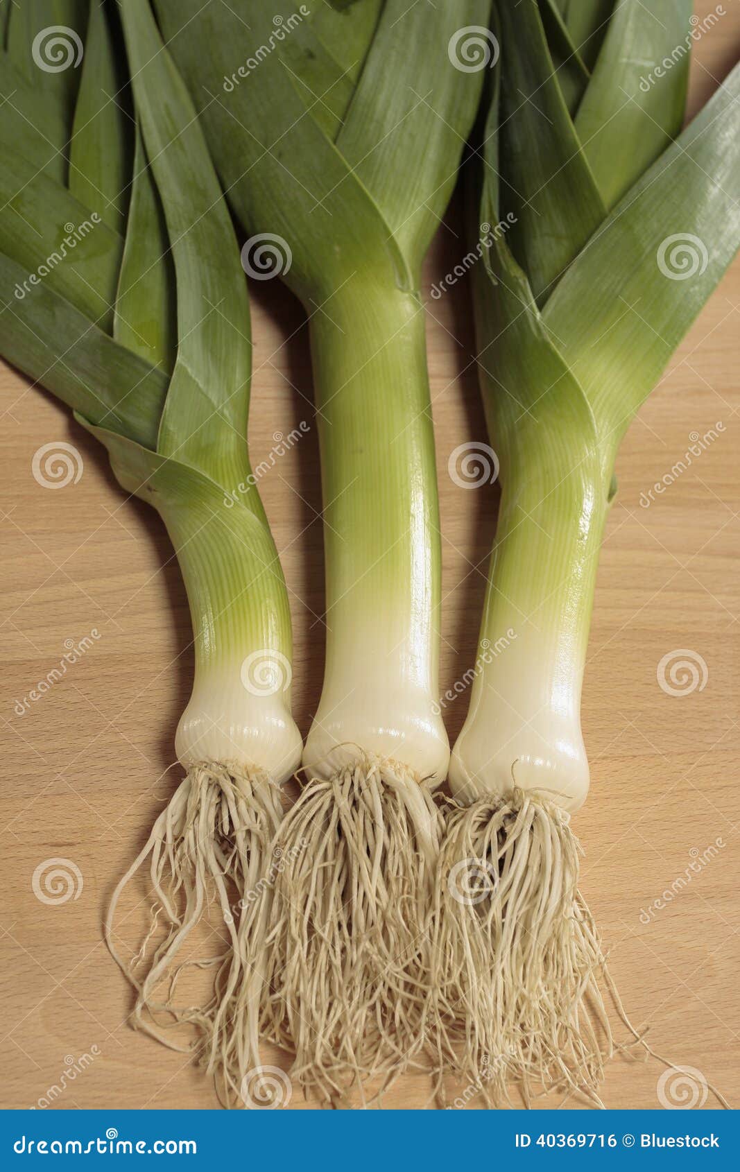 Green leeks stock photo. Image of leeks, season, vegetarian - 40369716