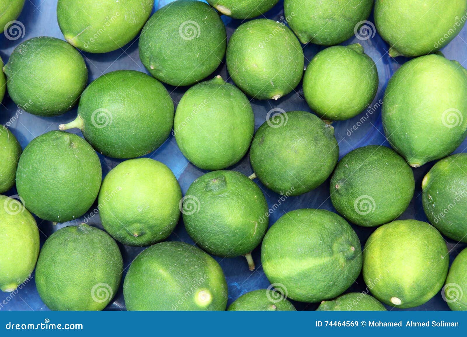 Green lemon stock image. Image of grocery, yellow, background - 74464569