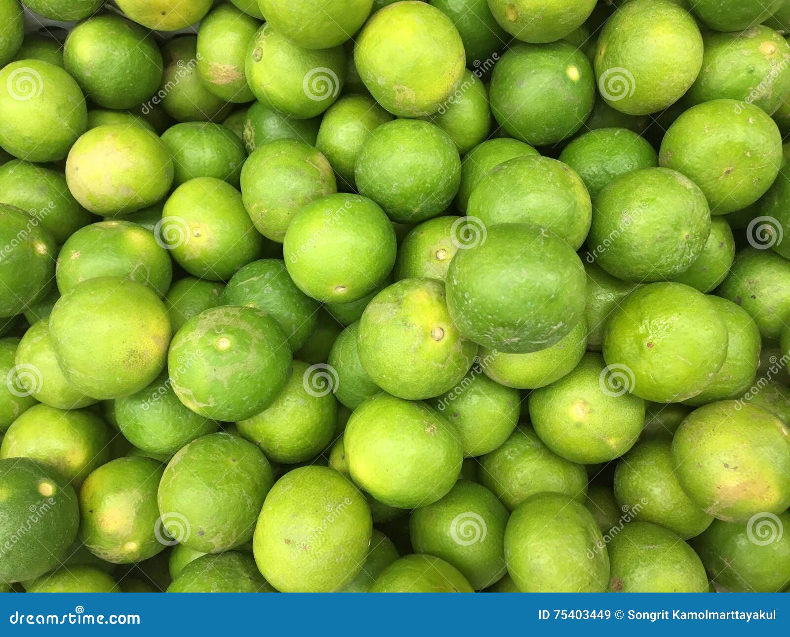 Green lemon. stock image. Image of market, lemon, sour - 75403449
