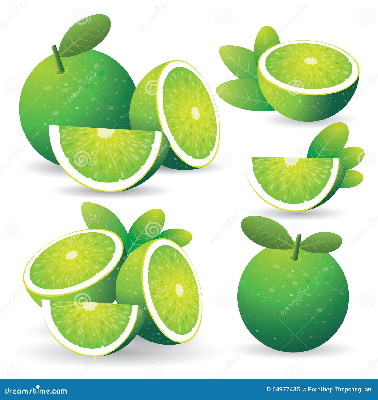 Green Lemon Vector