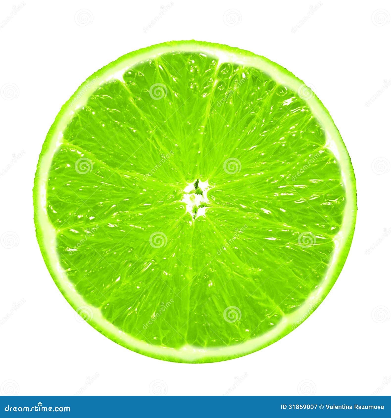 Green lemon slice stock image. Image of citrus, fruit - 31869007