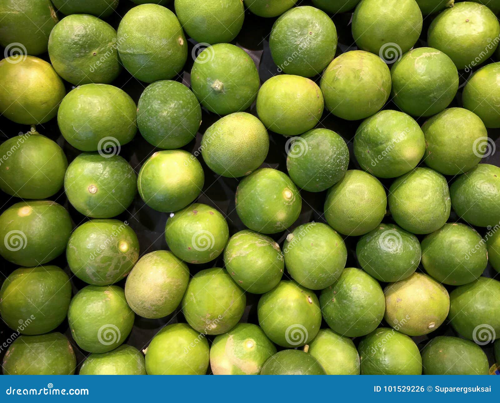 Green Lemons Background stock photo. Image of natural - 101529226