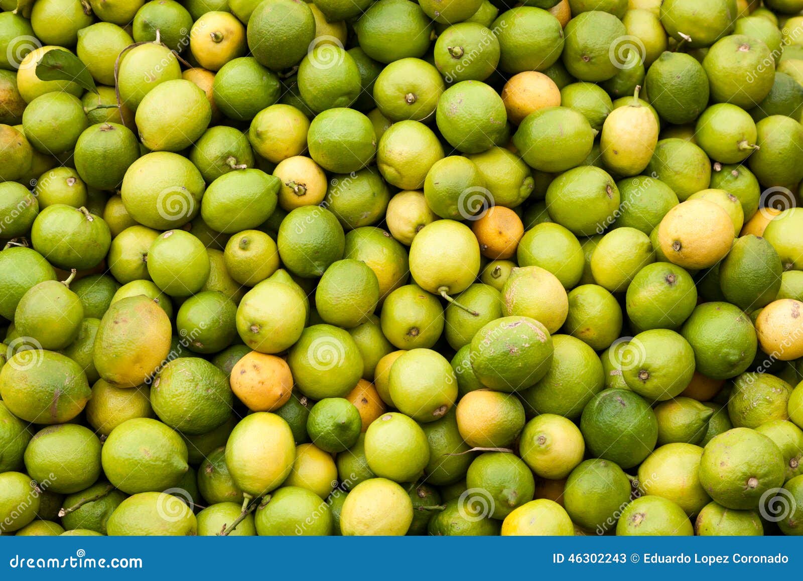 Green lemons stock image. Image of born, natur, design - 46302243