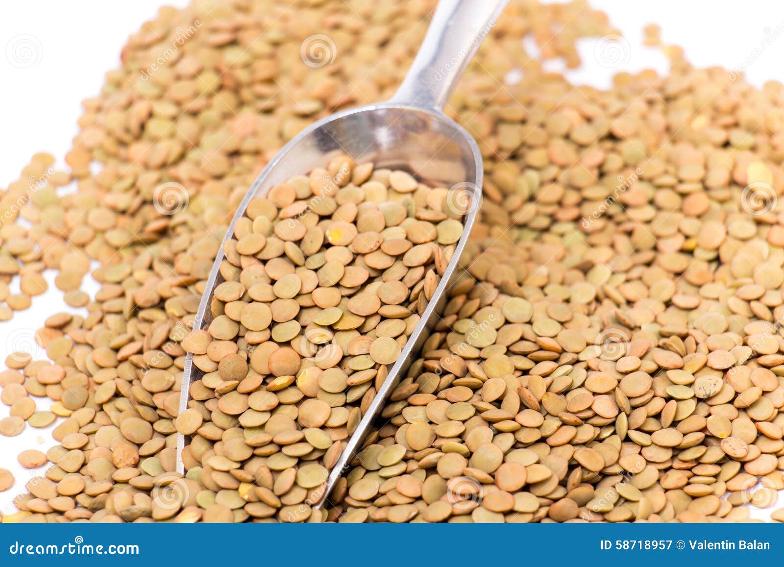Green lentil stock image. Image of legume, burlap, macro - 58718957