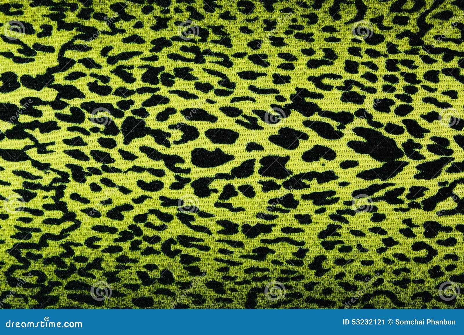 123 Green Screen Leopard Stock Photos - Free & Royalty-Free Stock ...