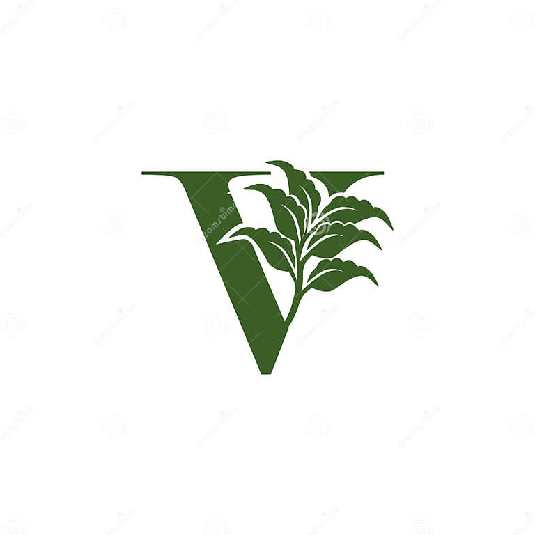 Green Letter V Logo with Leaf Element, Vector Design Ecology Concept ...