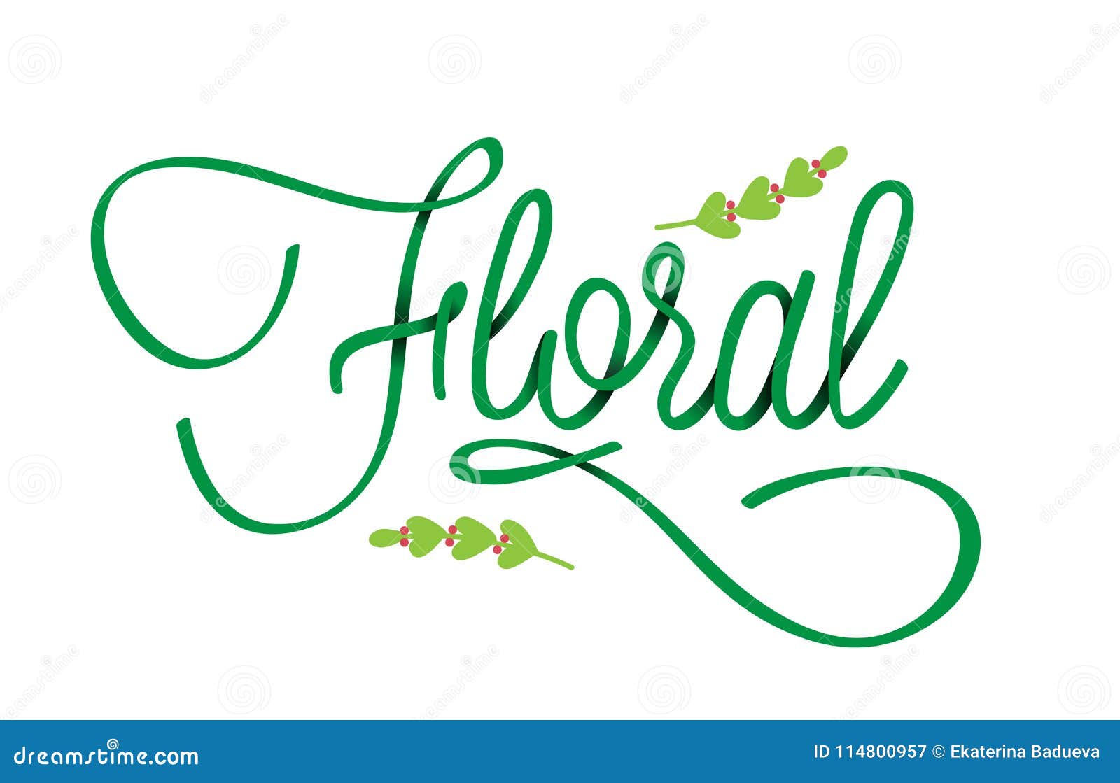 Green Lettering`Floral` on a White Background and Plant Elements ...