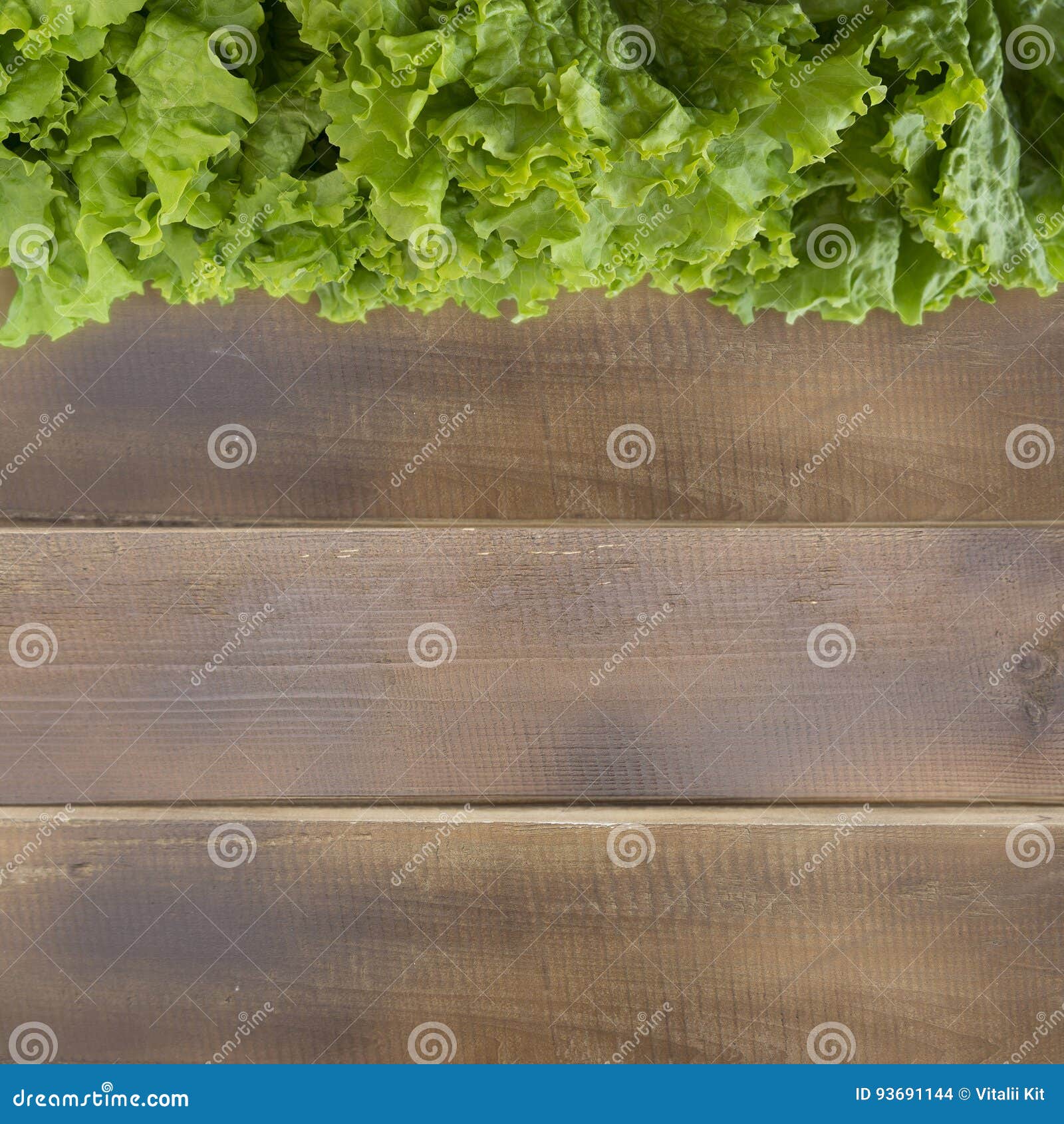 Green Lettuce at Border of Image with Copy Space for Text Stock Photo ...