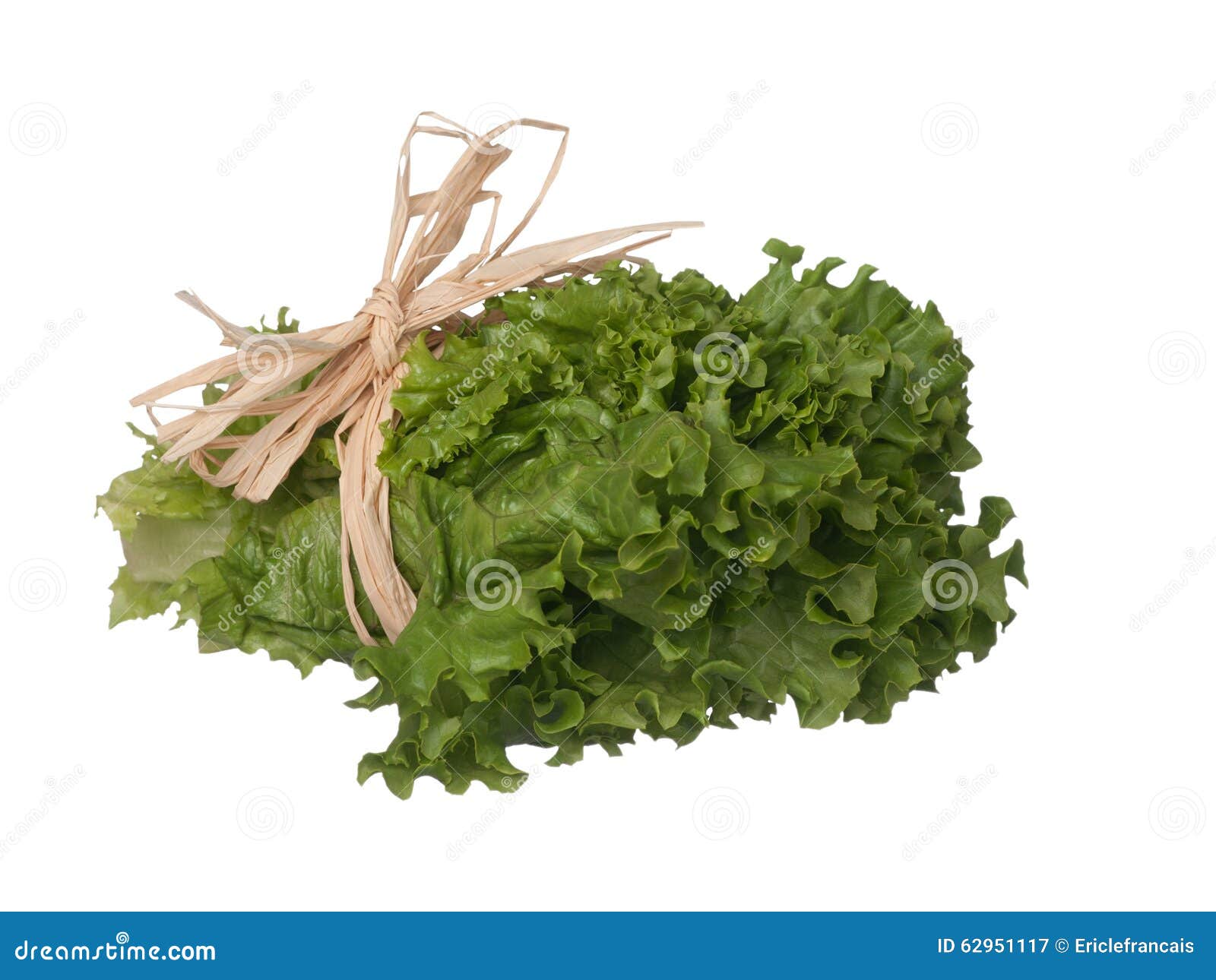 Green Lettuce Bouquet Laying on Side Isolated on White Stock Image ...