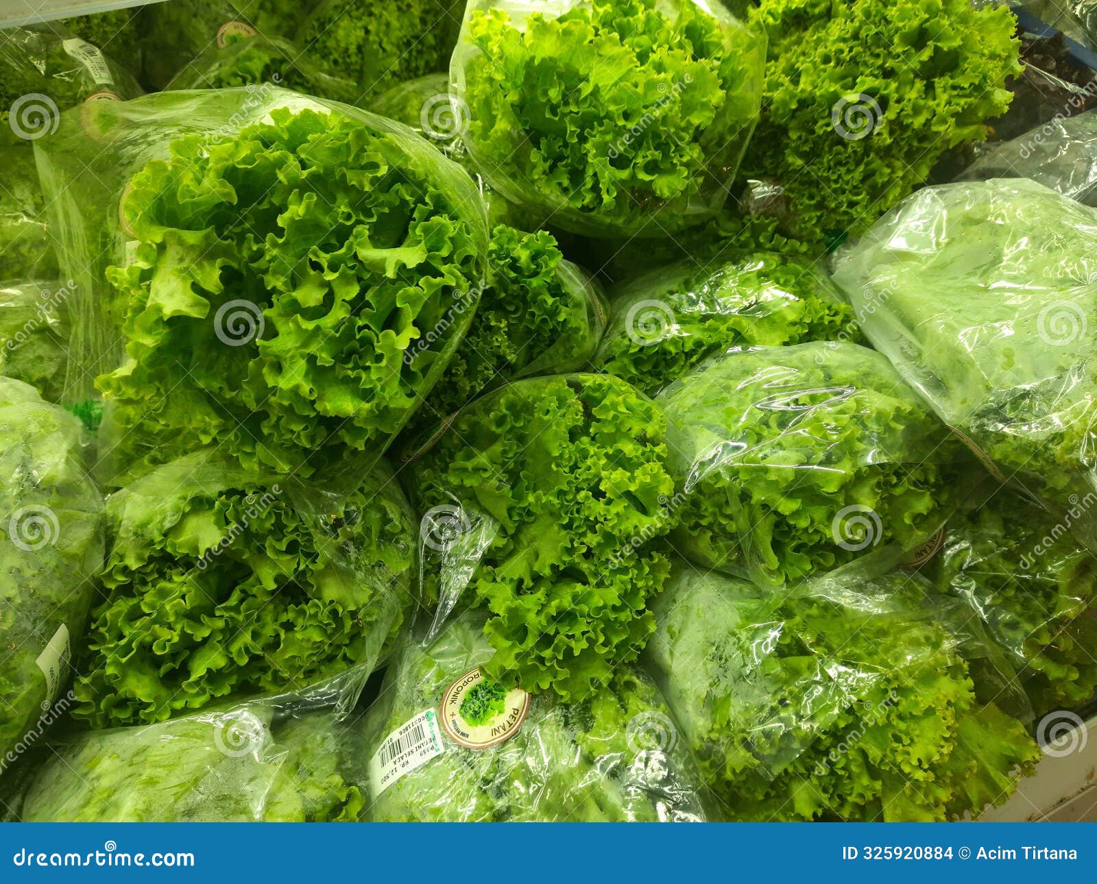 Green Lettuce Vegetables on the Display Table Editorial Stock Image ...