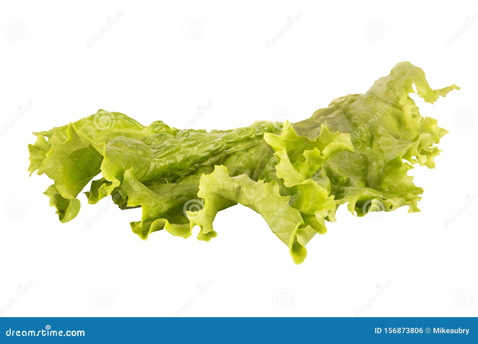 Green Lettuce Leaf, Isolated on White Background. Cut Out Stock Photo ...