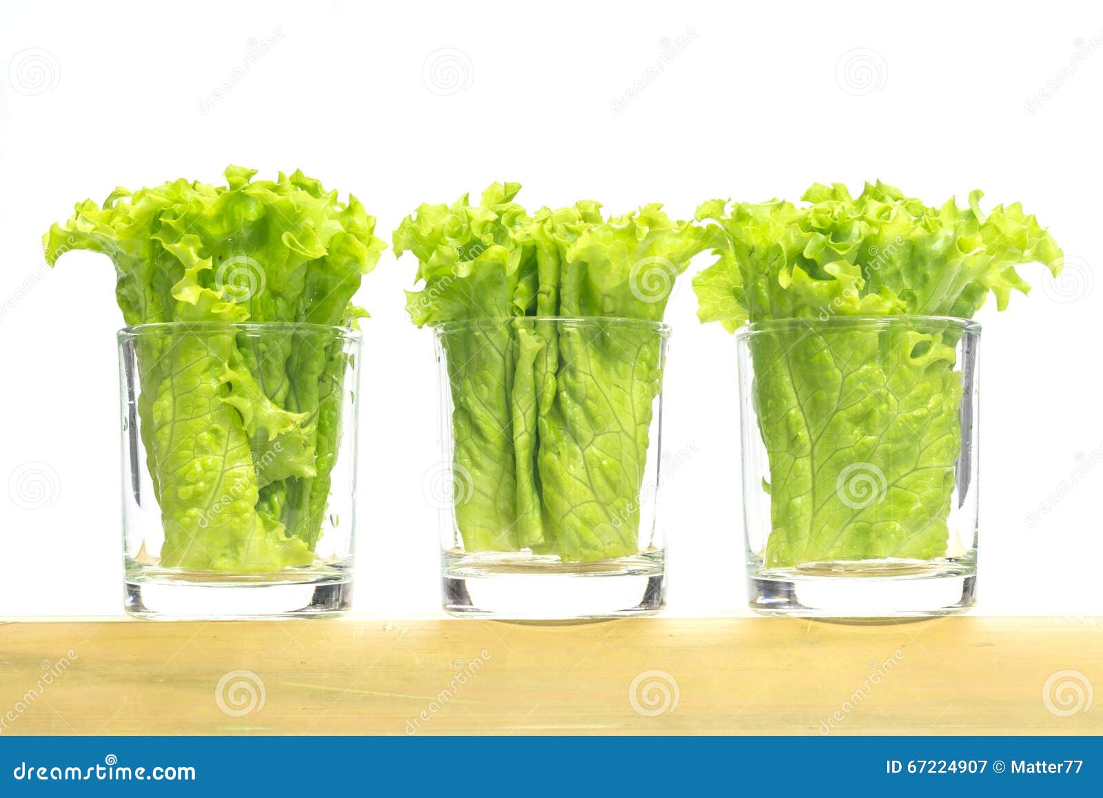 Green Lettuce in Small Glasses Setting on Bamboo Tube Stock Image ...