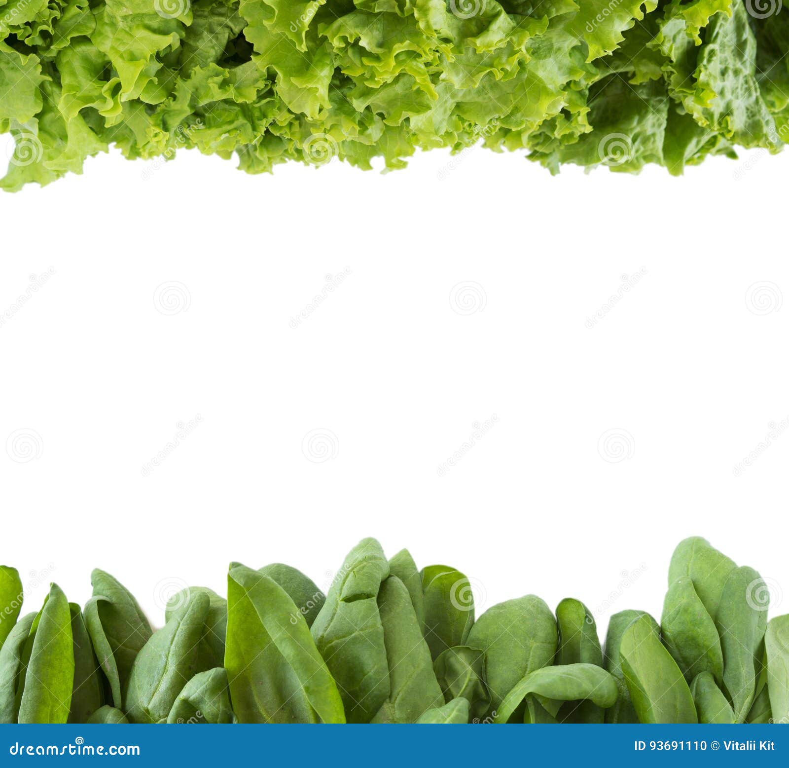 Green Lettuce and Spinach at Border of Image with Copy Space for Text ...