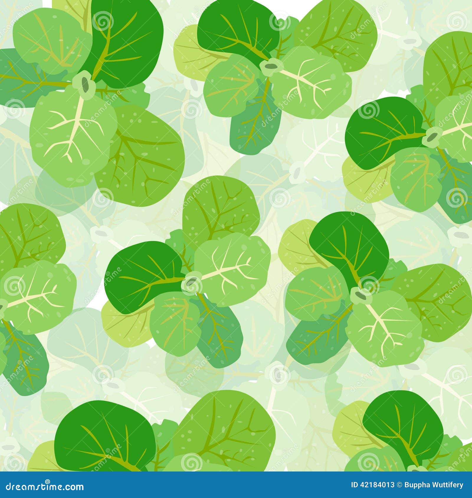Green Lettuce Vector Background Stock Vector - Illustration of vitamin ...