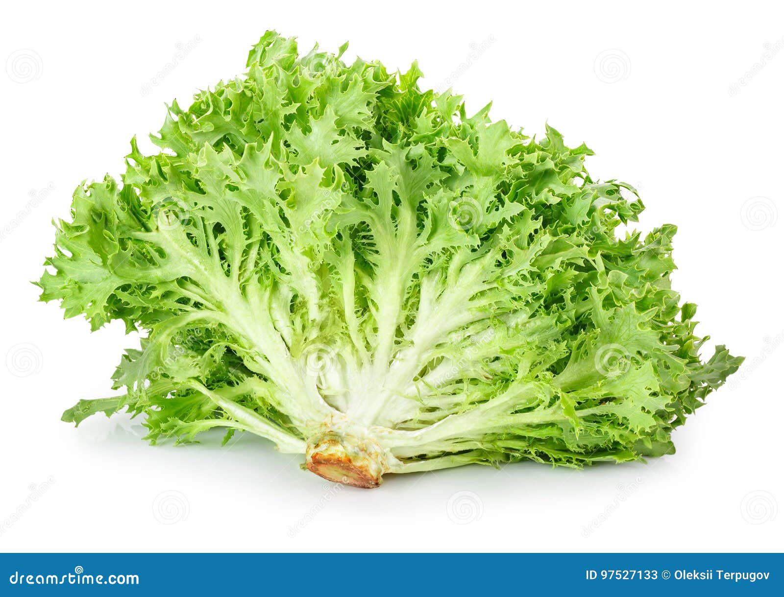 Green lettuce on white stock image. Image of frizzy, diet - 97527133