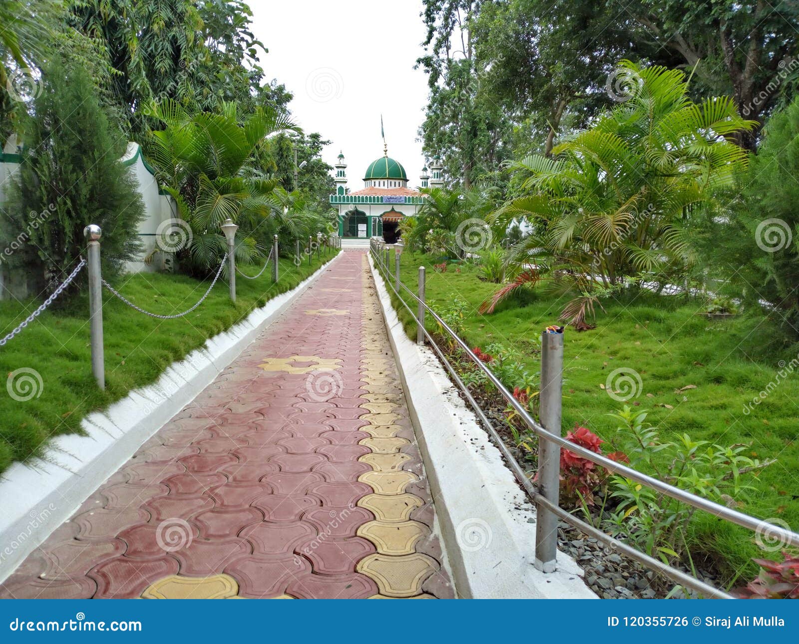 Green Library with Lot of Different Plants Stock Photo - Image of ...