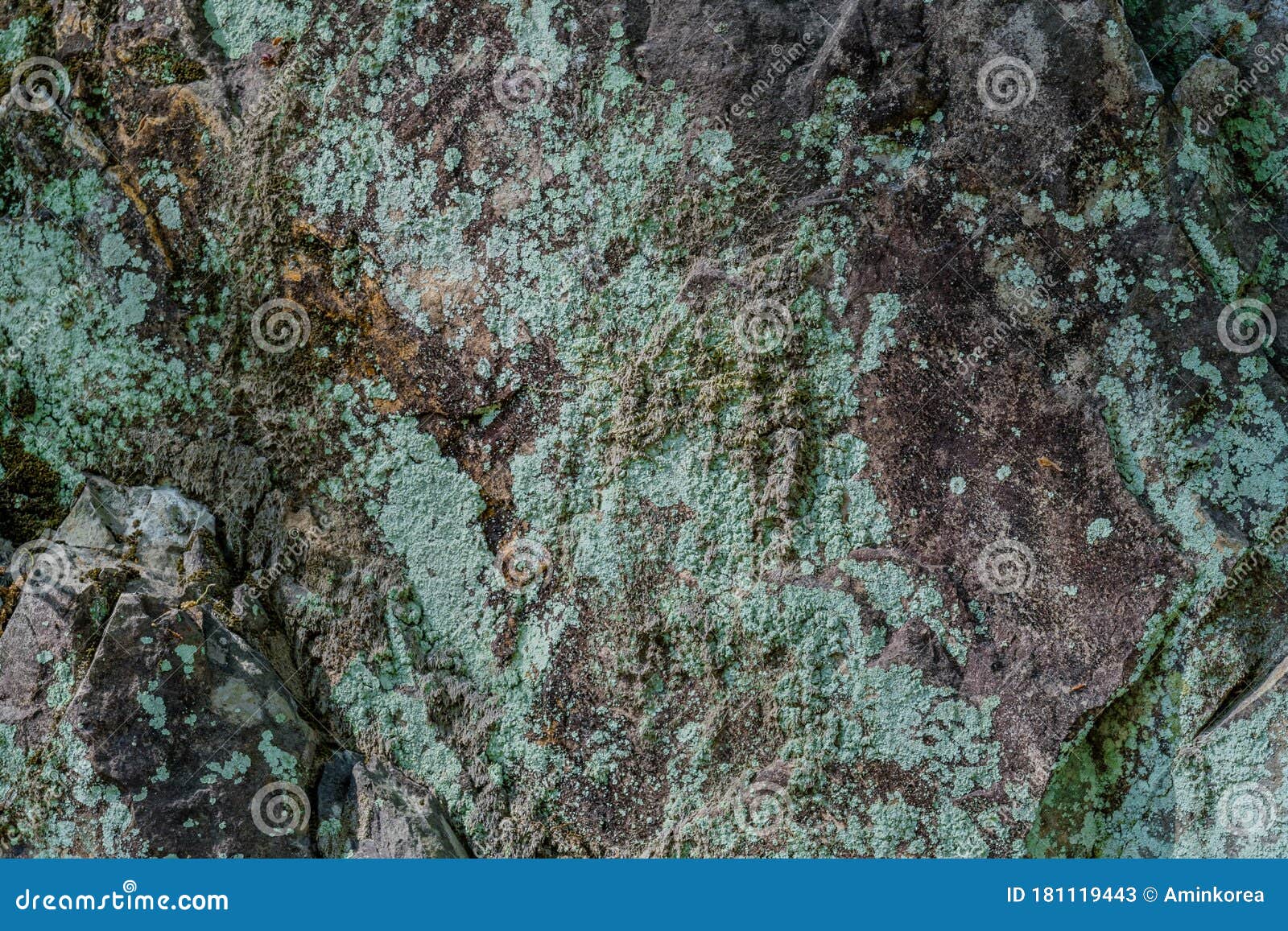 Green lichen on boulder stock image. Image of hard, geological - 181119443