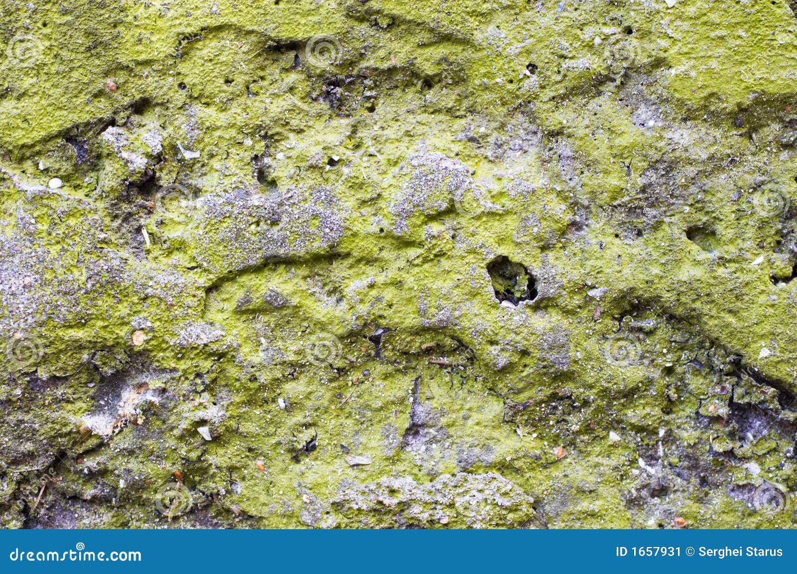 Green Lichen on Concrete Slab. Stock Image - Image of stones, dark: 1657931
