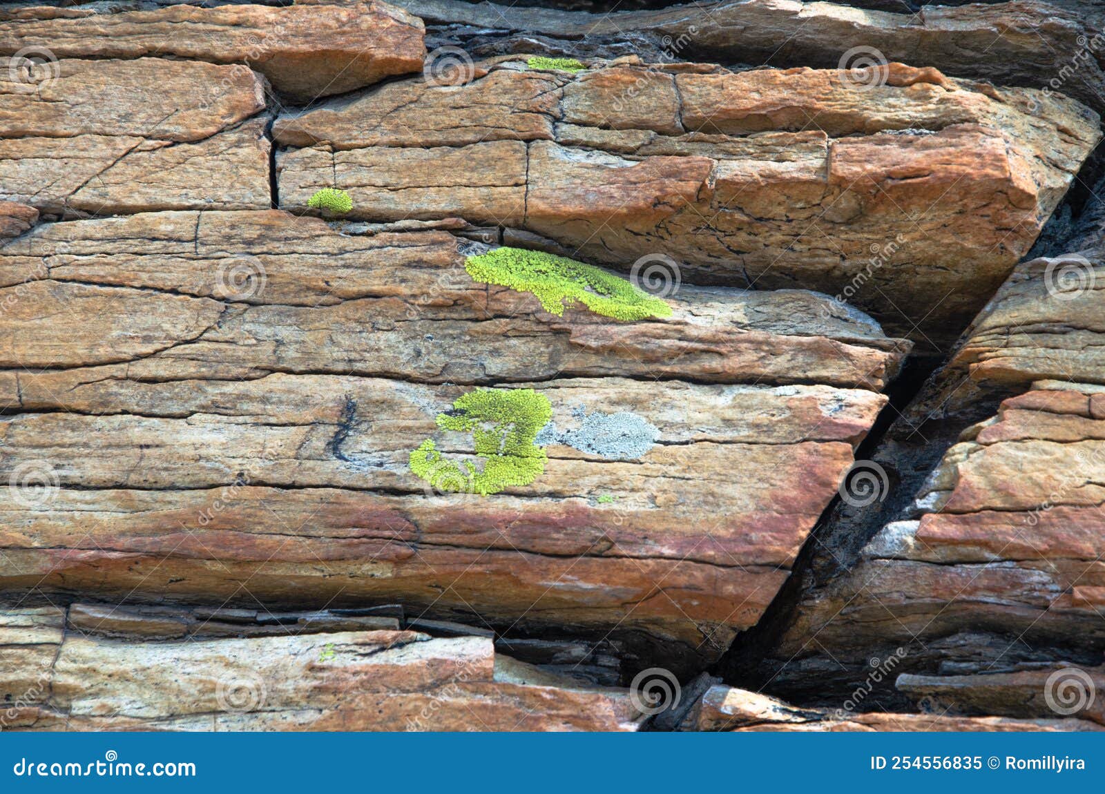 Green Lichen on Layered Rock. the Texture of the Stone. Stock Image ...