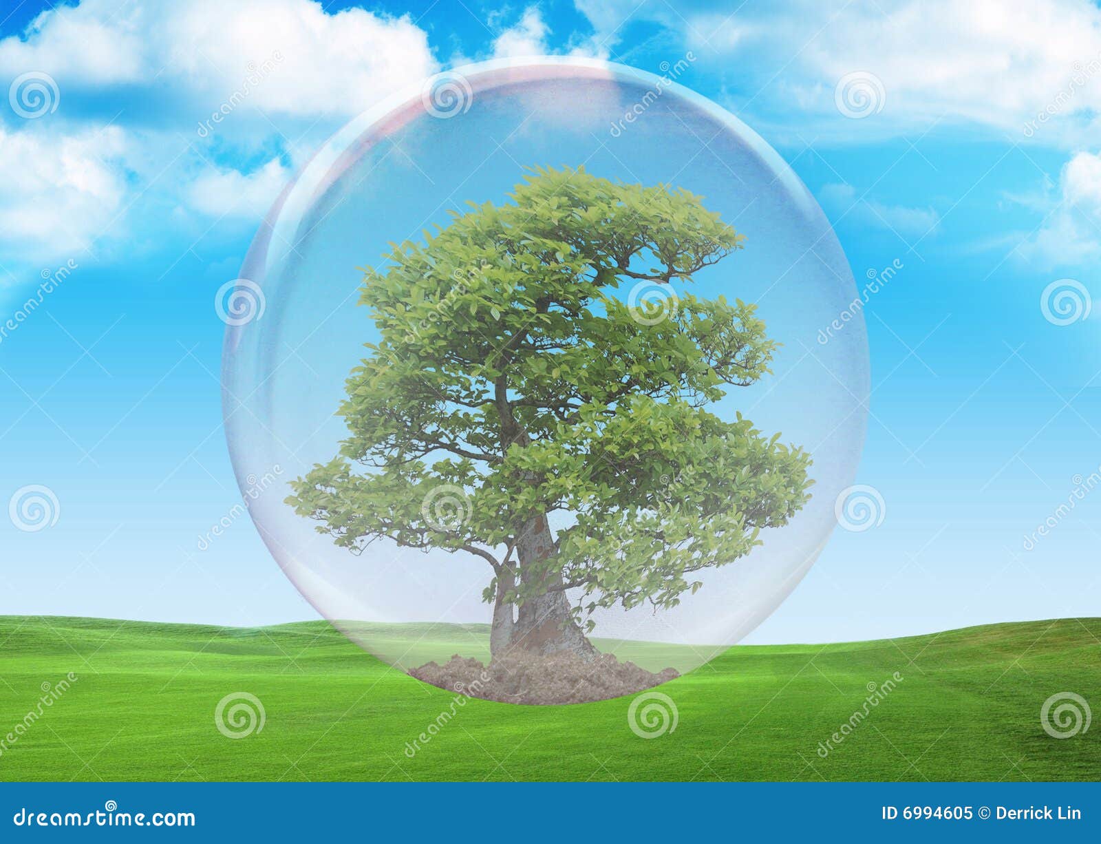 The Green Life 2 stock image. Image of landscape, bubble - 6994605