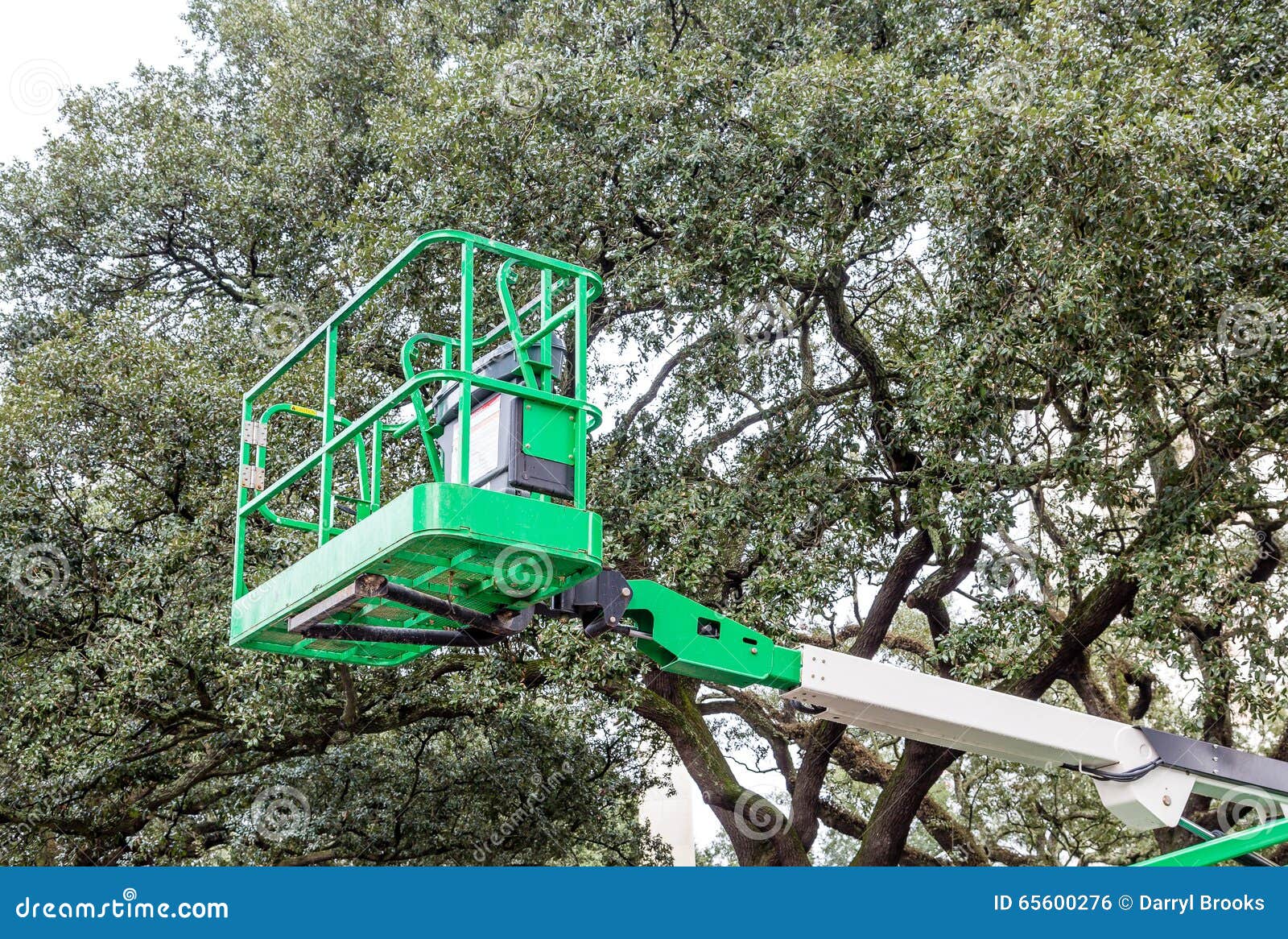 Green Lift by Green Tree stock photo. Image of hoist - 65600276