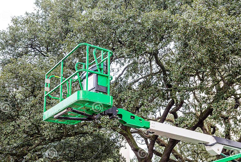 Green Lift by Green Tree stock photo. Image of hoist - 65600276