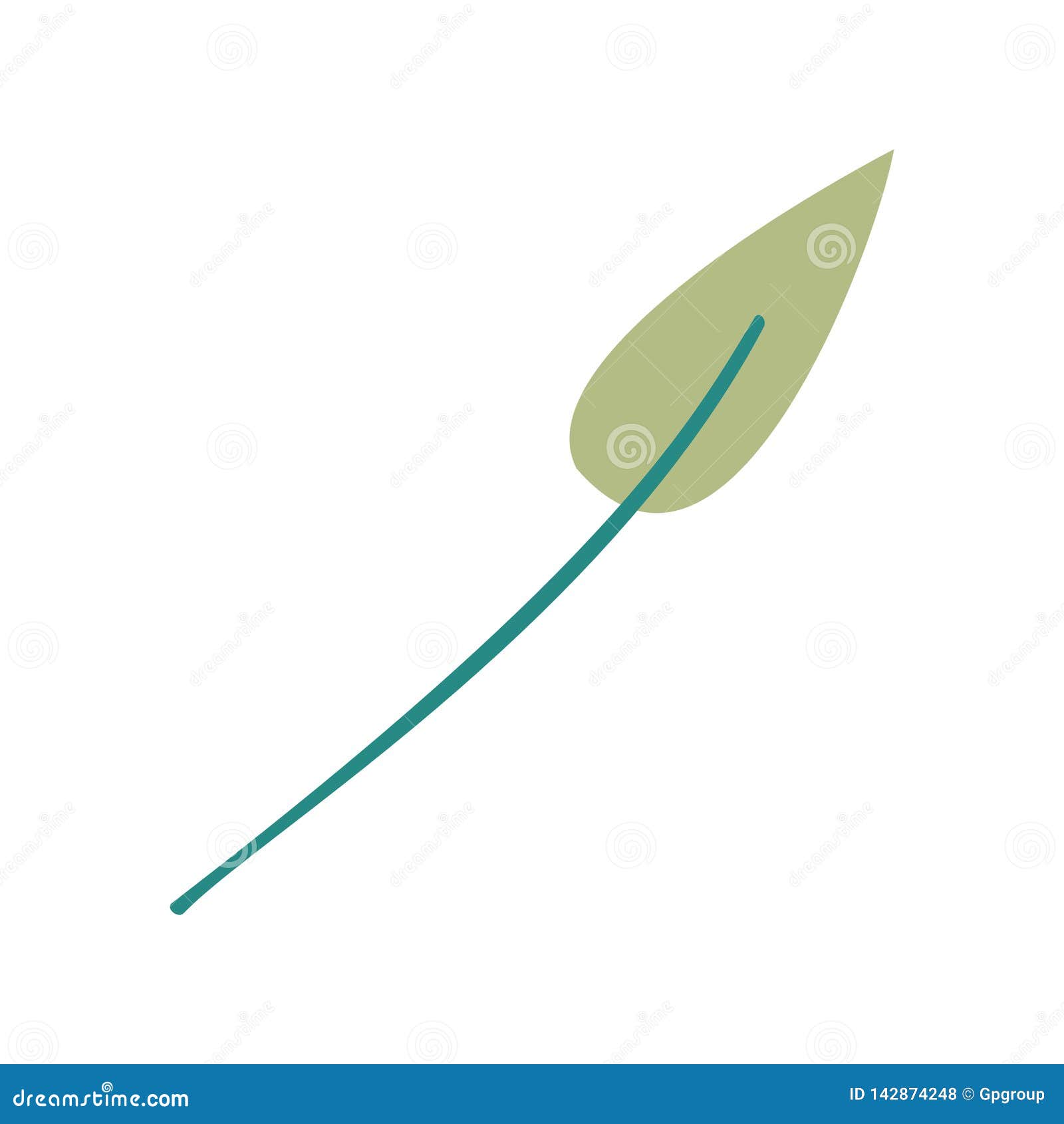 Green Light Color of Small Lanceolate Leaf Plant Stock Vector ...