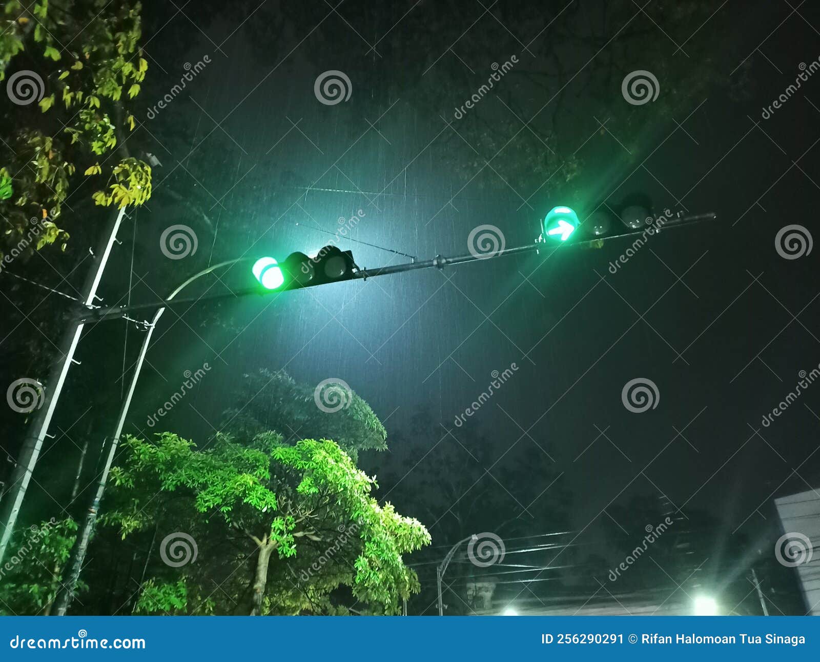 Green Light on Rainy Night ðŸŒ§ï¸ ðŸš¥ Stock Image - Image of street ...