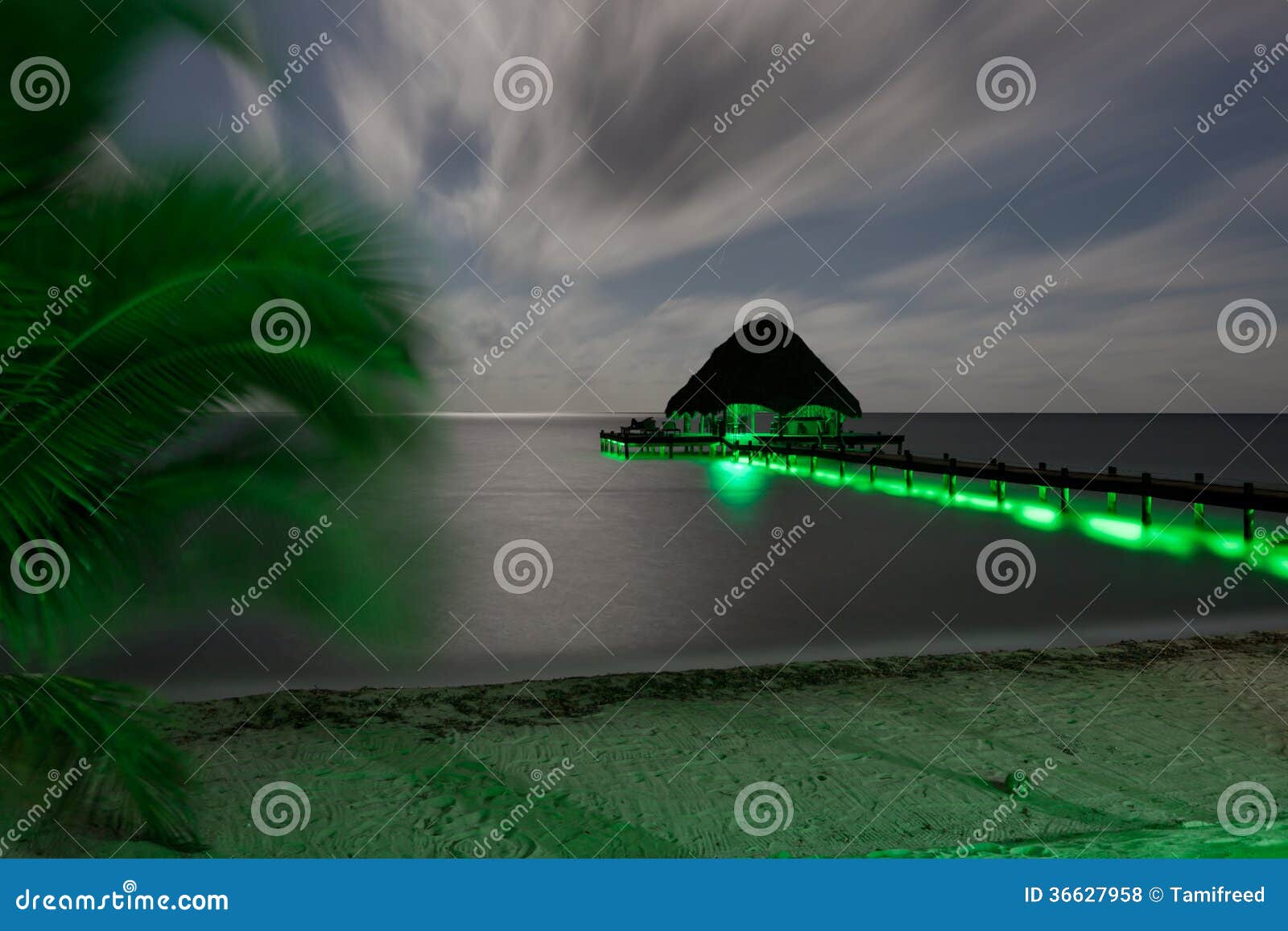 Green Lights on Dock stock photo. Image of moonlight - 36627958