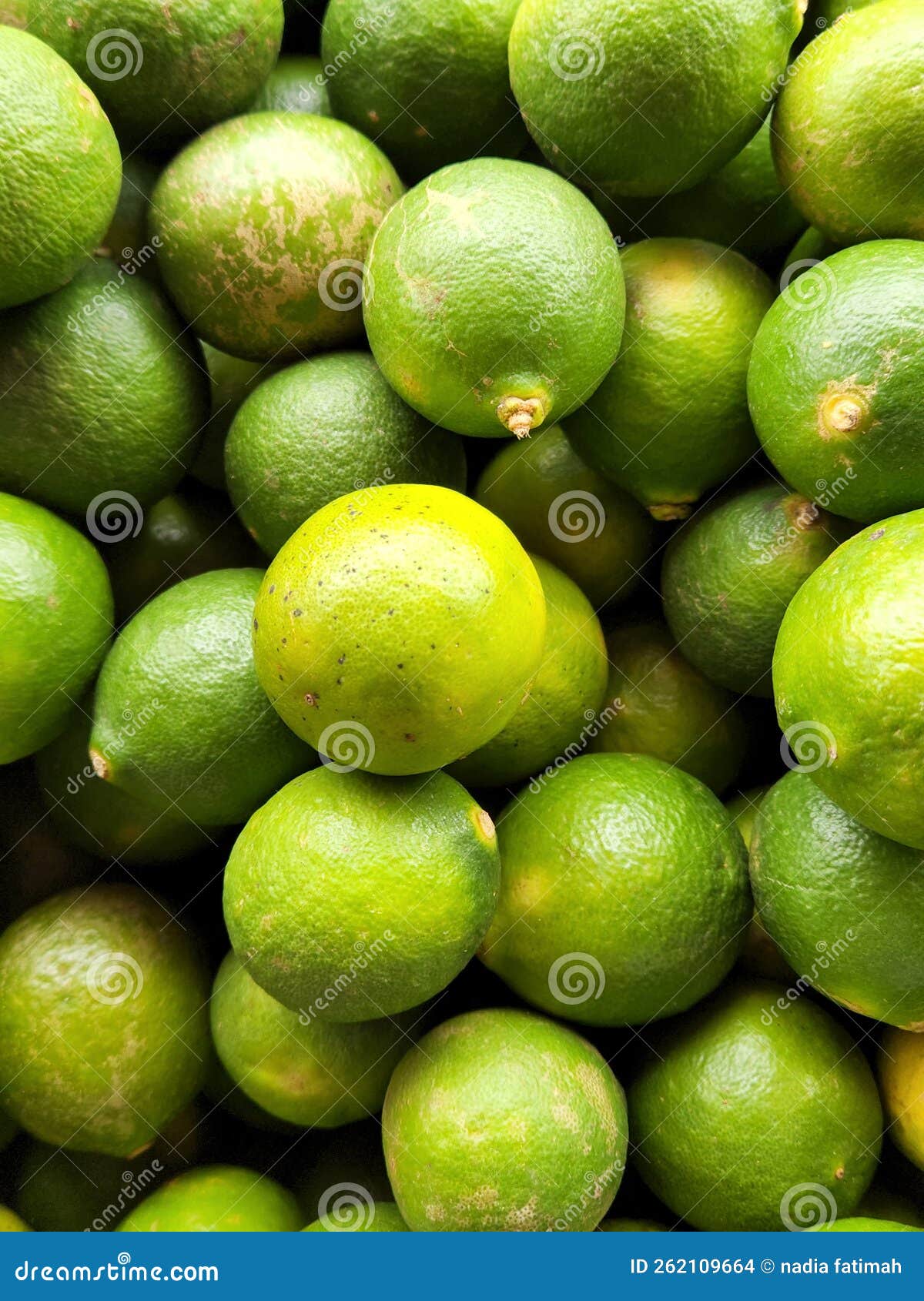 Green Lime light stock photo. Image of gourd, produce - 262109664