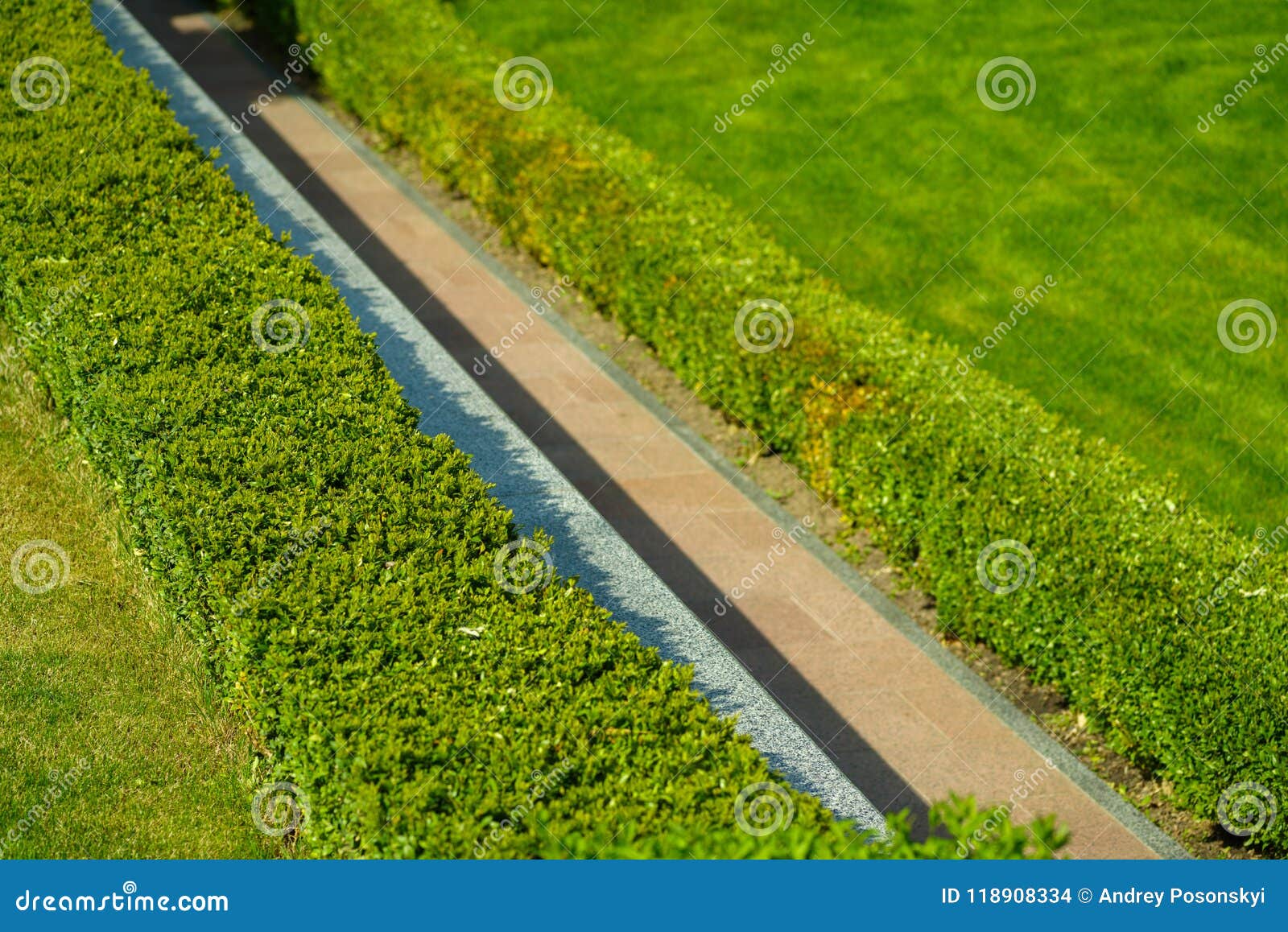 Green Linear-cut Bushes in Landscape Design Stock Photo - Image of lawn ...
