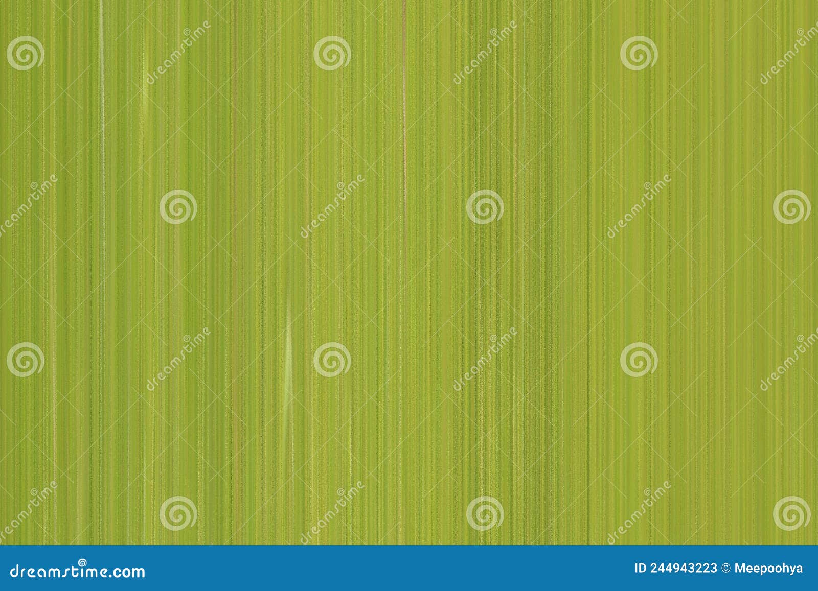 Green Lines Pattern Abstract Background Stock Illustration ...
