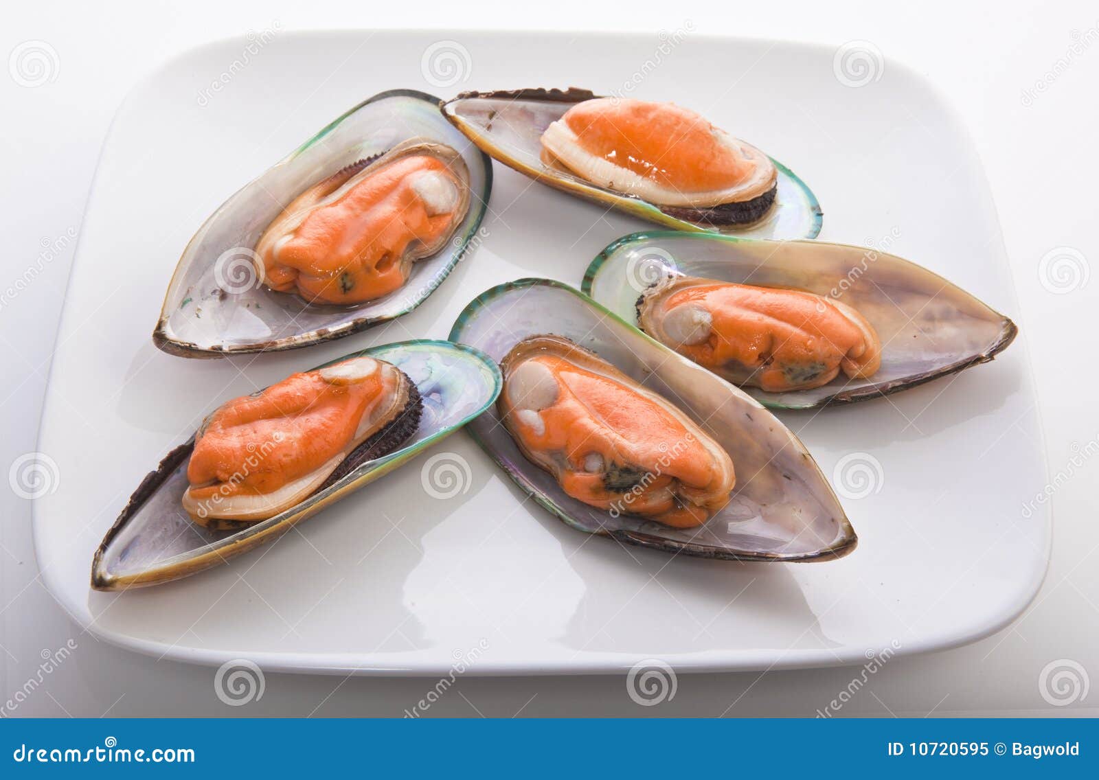 Green lip mussels stock image. Image of dish, seafood - 10720595