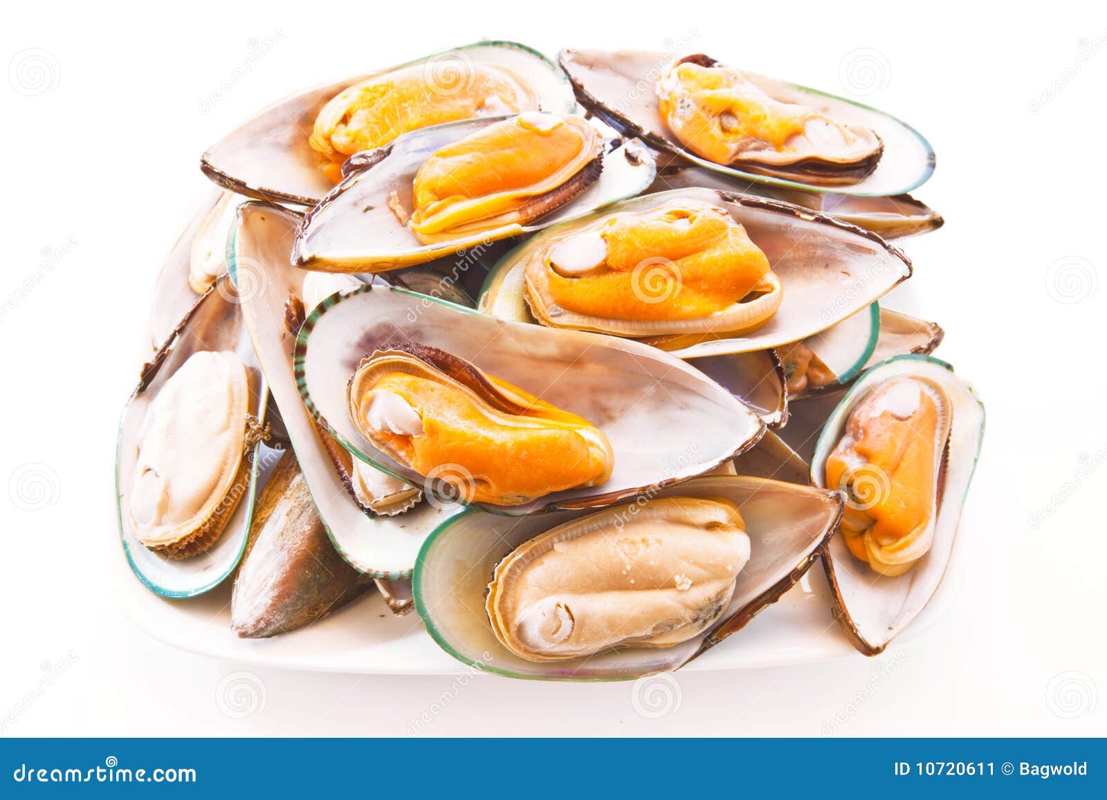 Green lip mussels stock image. Image of orange, dinner - 10720611