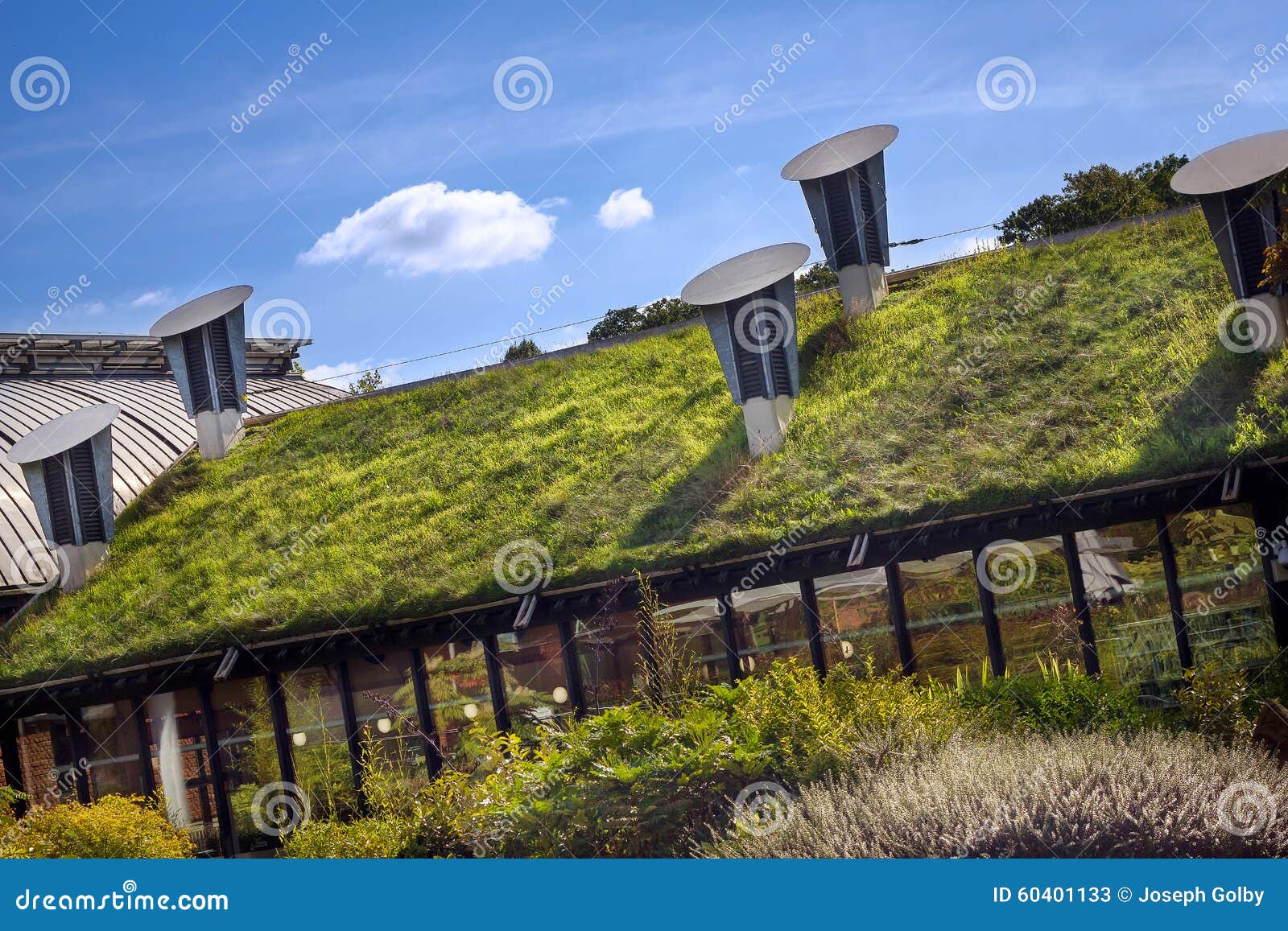 Green Living Roof. Eco Friendly Building Stock Image - Image of global ...
