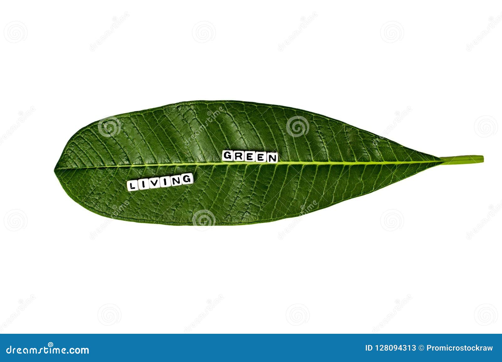 Green Living Text Message on Leaf with Alphabets Stock Image - Image of ...