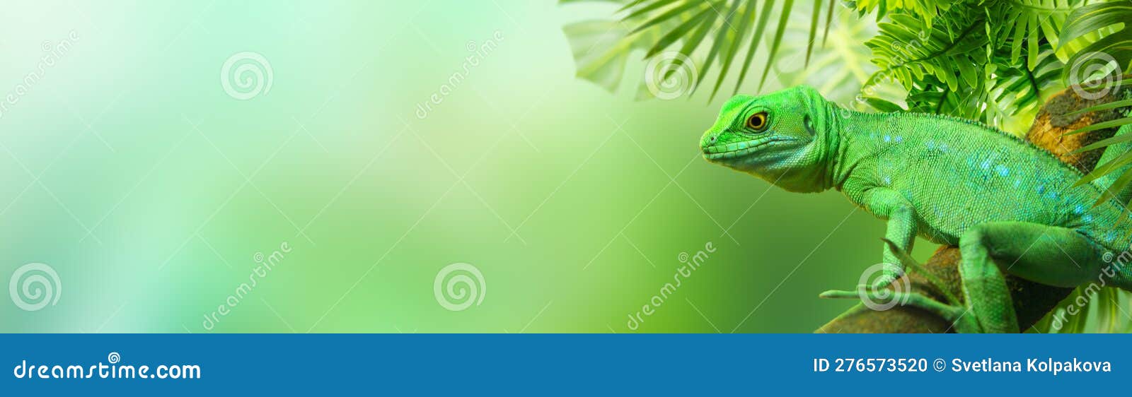 Green Lizard Sitting on a Tree Branch Surrounded by Tropical Leaves ...
