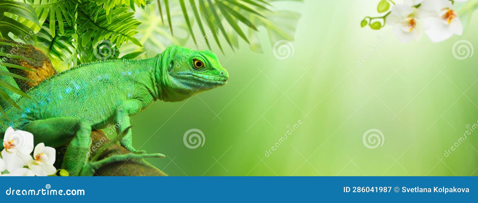 Green Lizard Sitting on Tree Branches Surrounded by Tropical Flowers ...