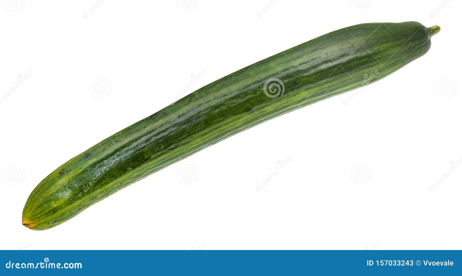 Green Long Cucumber Isolated on White Stock Image - Image of english ...