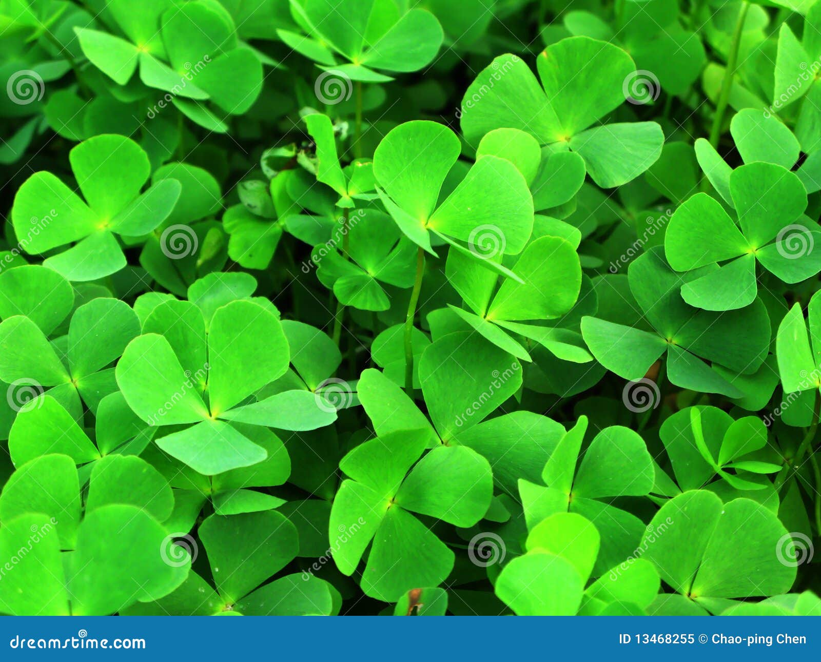 Royalty Free Images, Cartoons, Illustrations And Photos Designed By ...