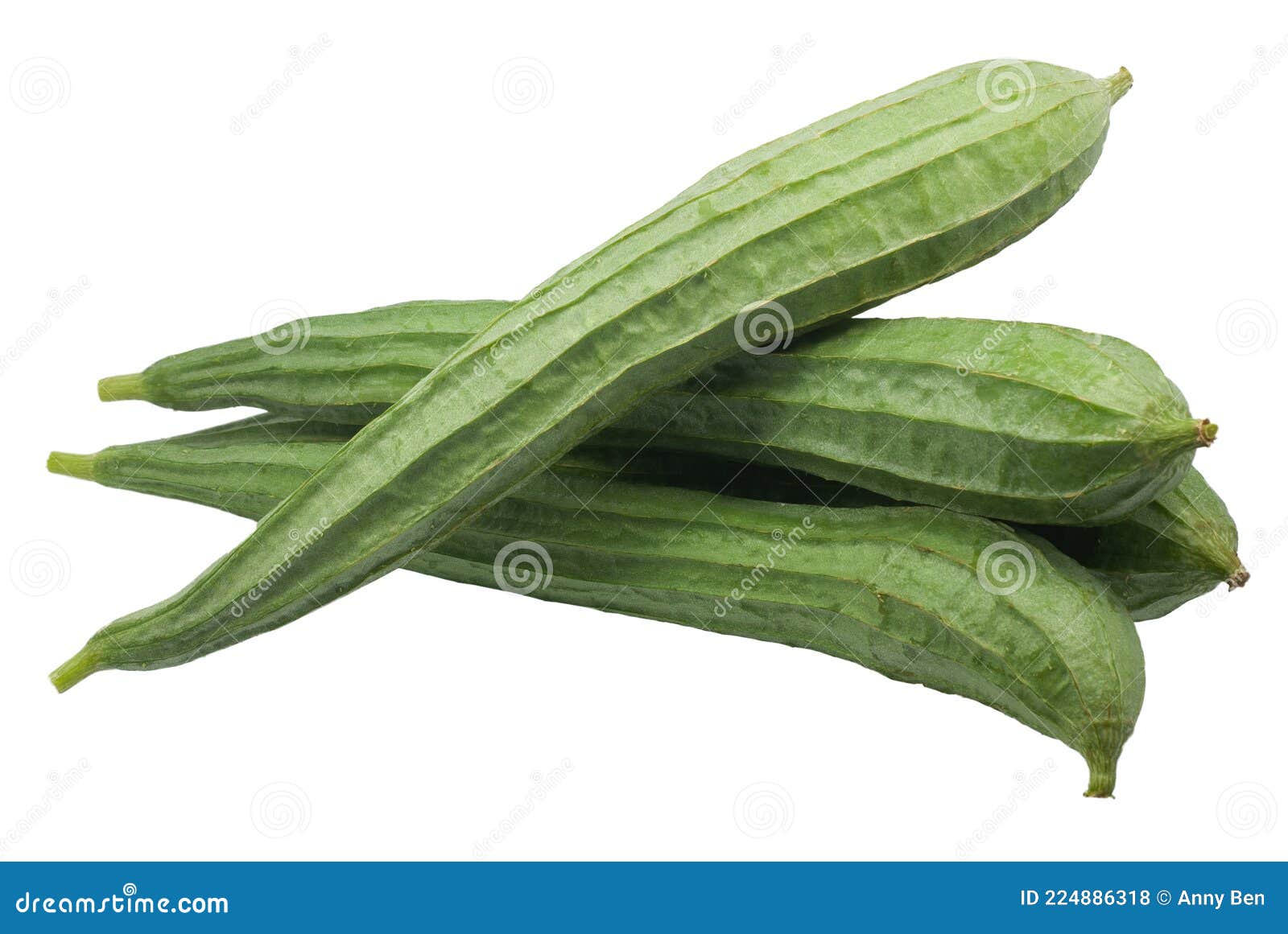 Angled Luffa Isolated on White Background Stock Photo - Image of ...