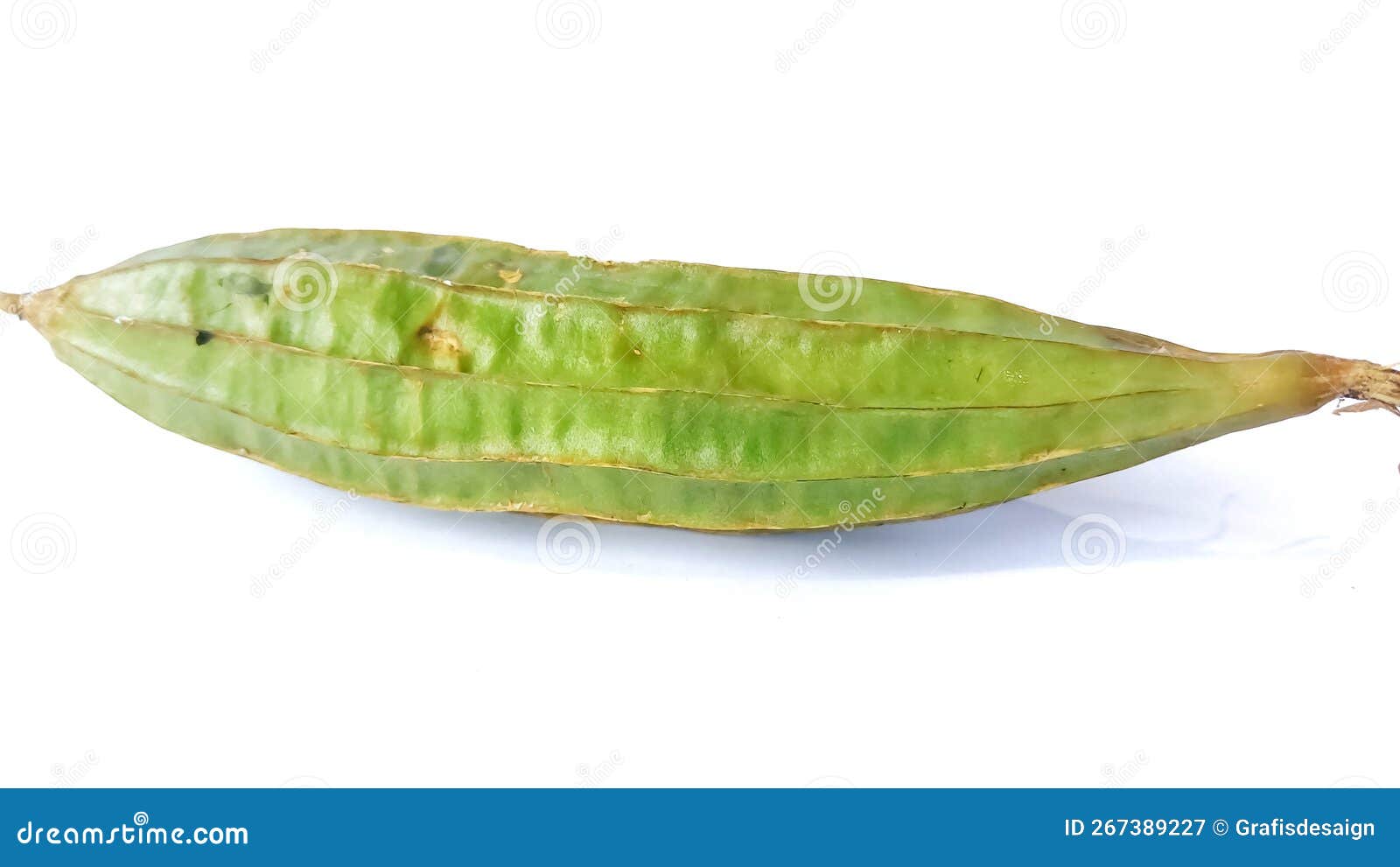 Green Luffa Acutangula Isolated on White Background Stock Image - Image ...