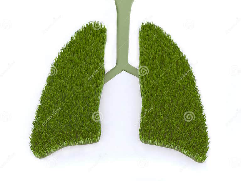 Green lung stock illustration. Illustration of landscape - 18557347