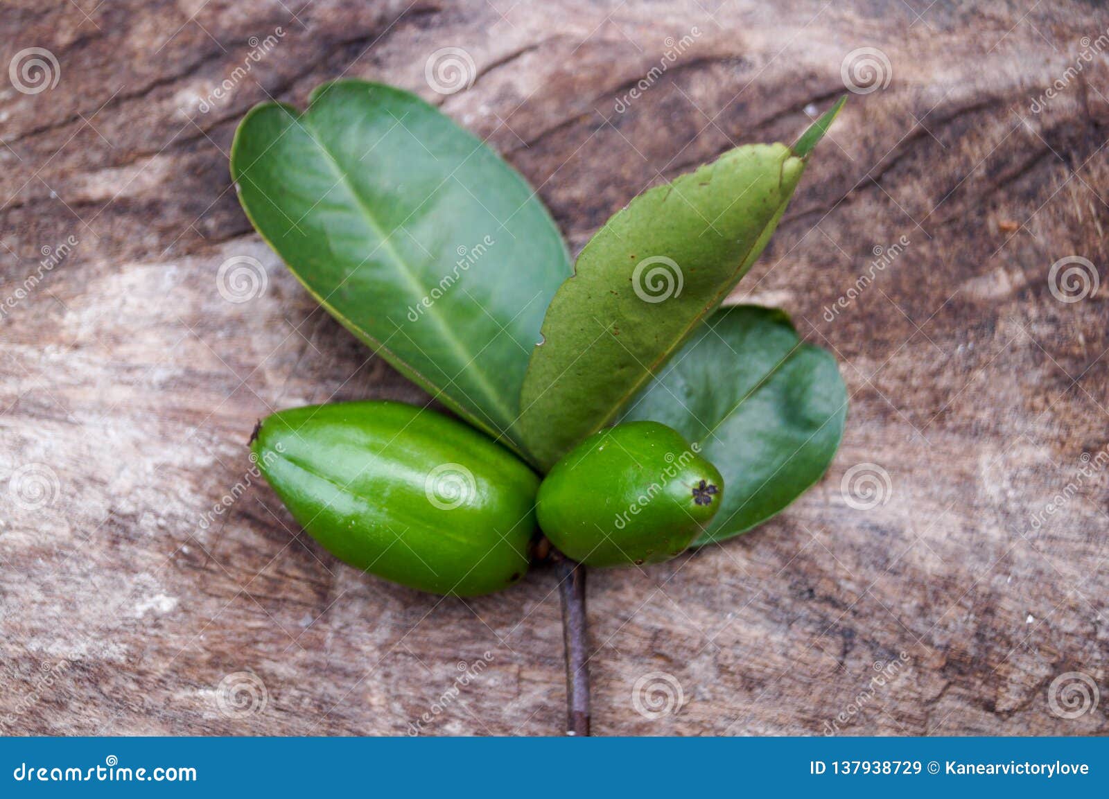 Green Madan Fruit on the Wood Background Stock Image - Image of leaves ...